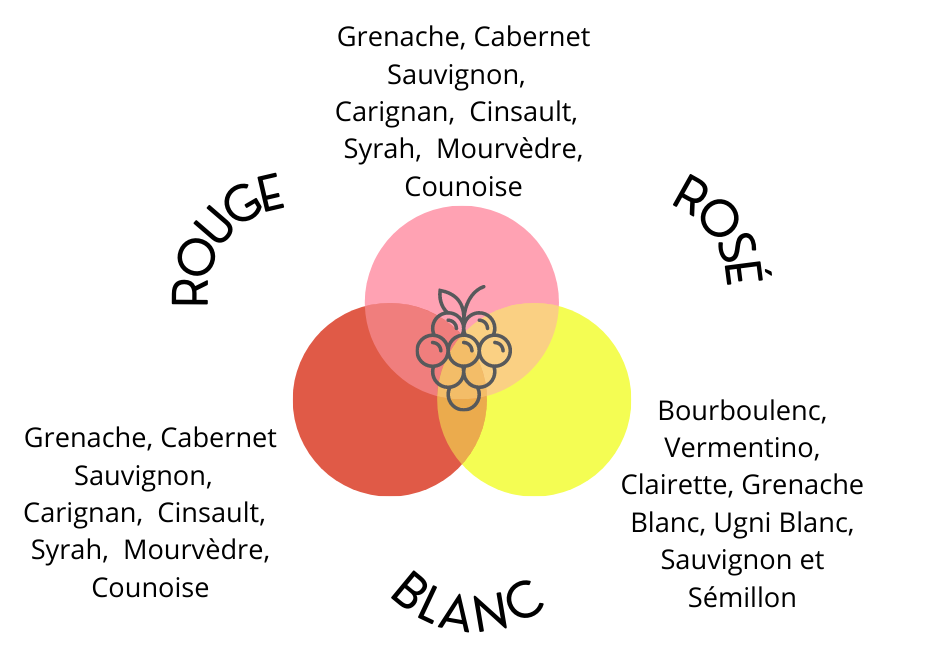 Les cépages utilisés en AOP Coteaux d’Aix-en-Provence - Le Cellier d ...