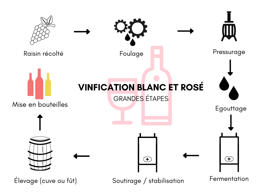 Les grandes étapes des vinifications (blanc rosé et rouge) - Le Cellier ...